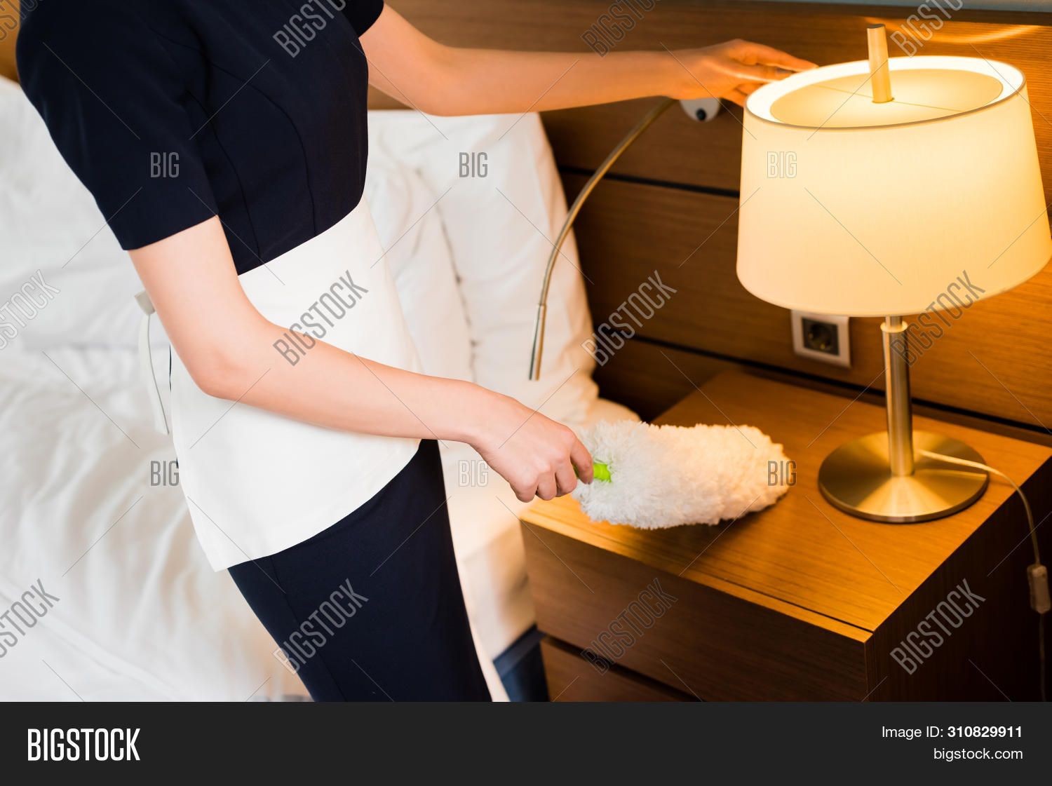 Cropped View Housemaid Image & Photo (Free Trial) | Bigstock