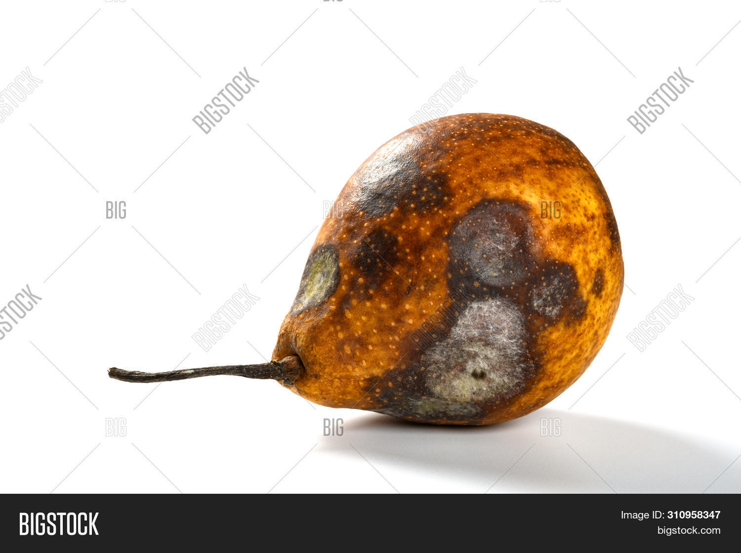 Badly Overripe Pear On Image & Photo (Free Trial) | Bigstock