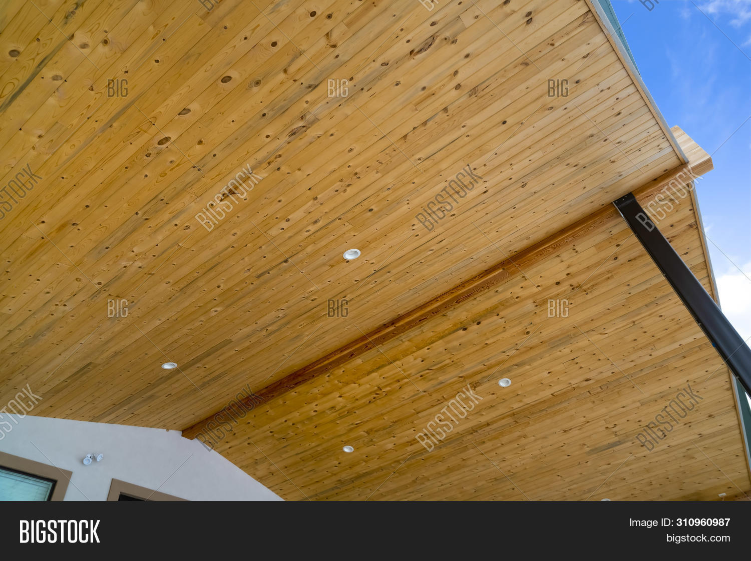 Close View Underside Image & Photo (Free Trial) | Bigstock