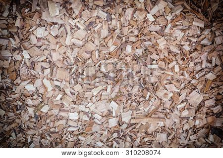 Shredded Piece Tree Image & Photo (Free Trial) | Bigstock