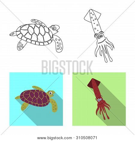 Bitmap Design Sea Image & Photo (Free Trial) | Bigstock