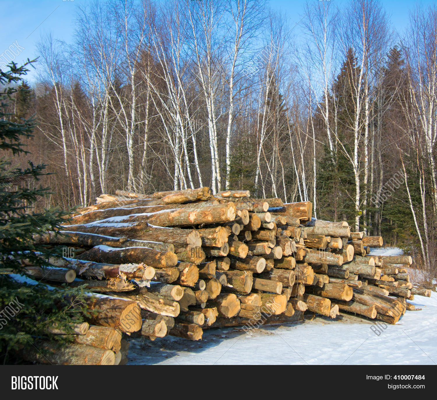 Maple Logs Stack Edge Image & Photo (Free Trial) | Bigstock
