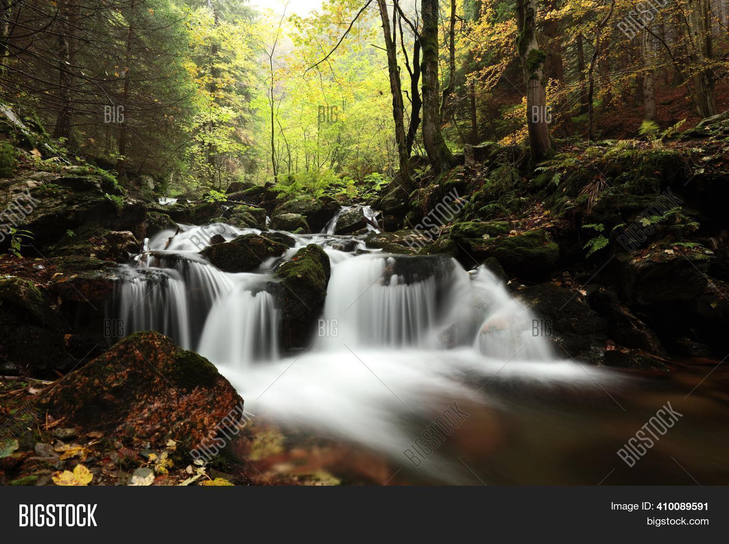 Forest Stream Nature Image & Photo (Free Trial) | Bigstock