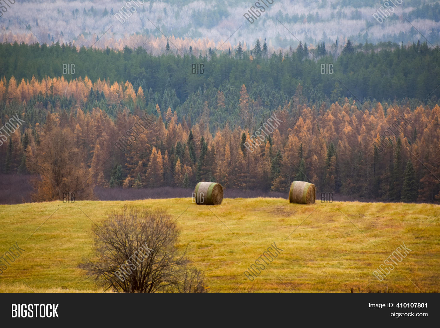 Autumn Colors On Farm Image & Photo (Free Trial) | Bigstock