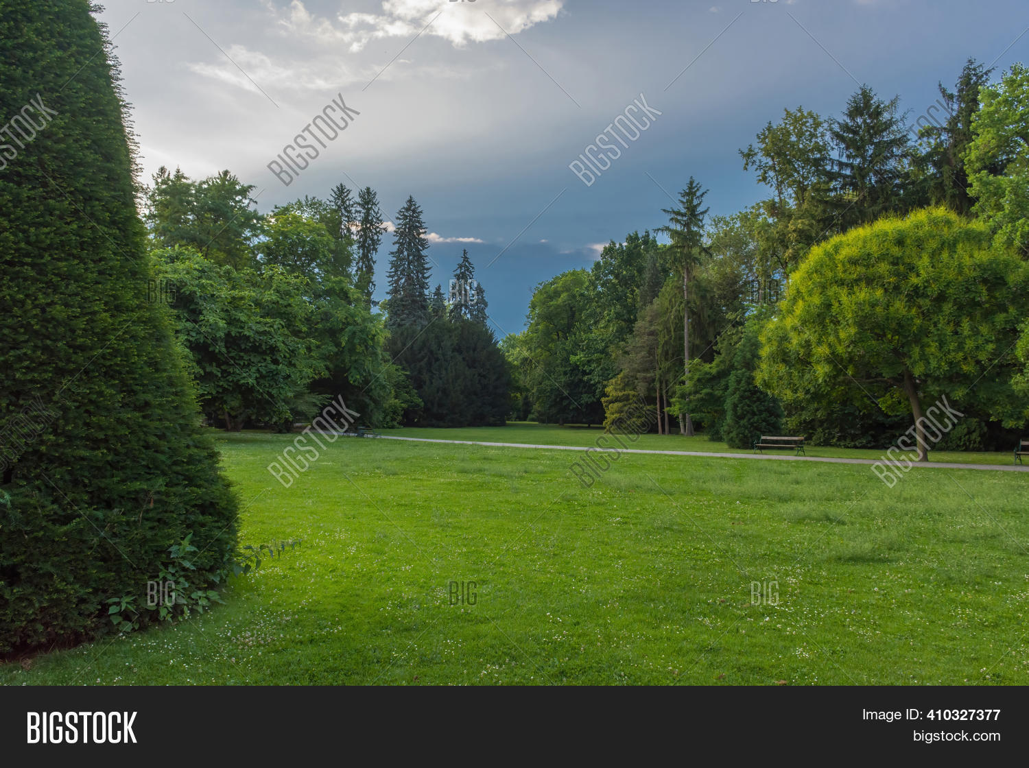 Trees City Park Image & Photo (Free Trial) | Bigstock