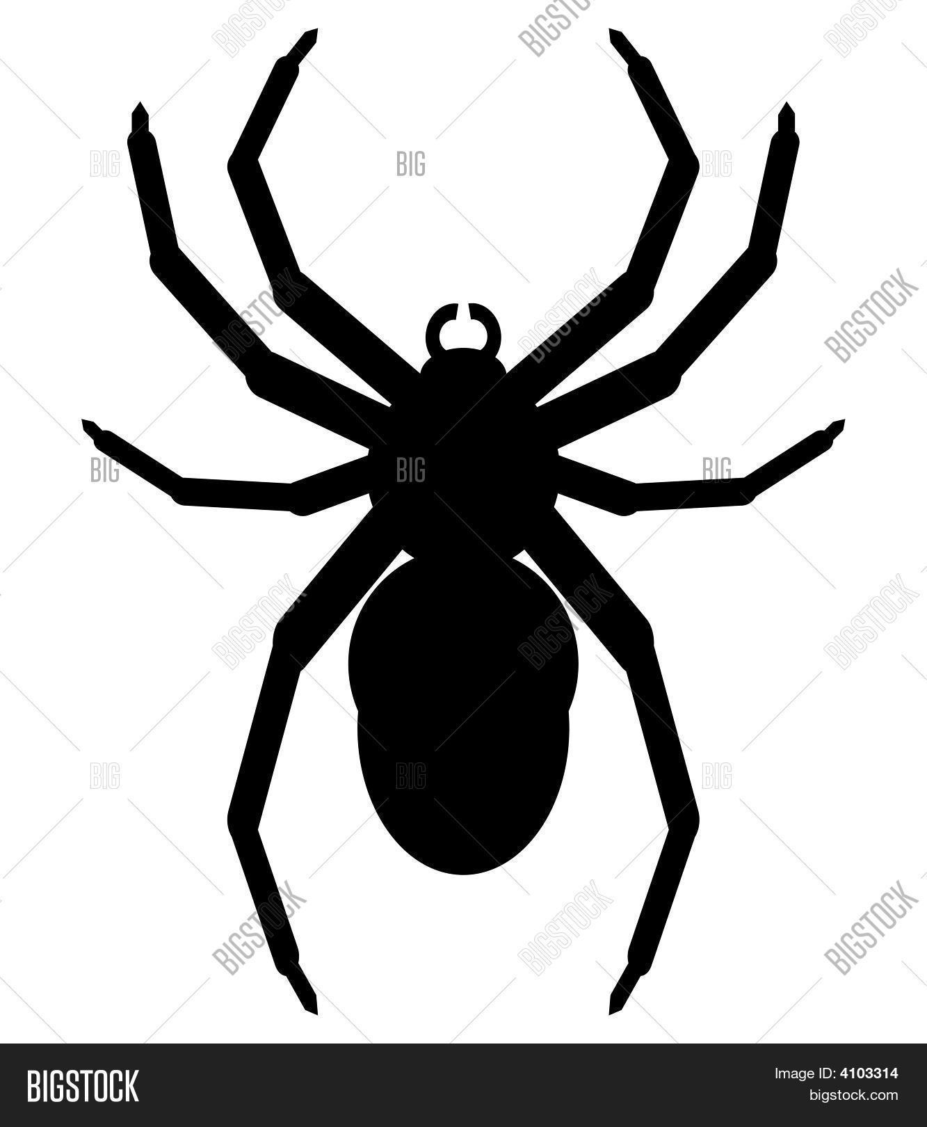 Spider Silhouette Image & Photo (Free Trial) | Bigstock