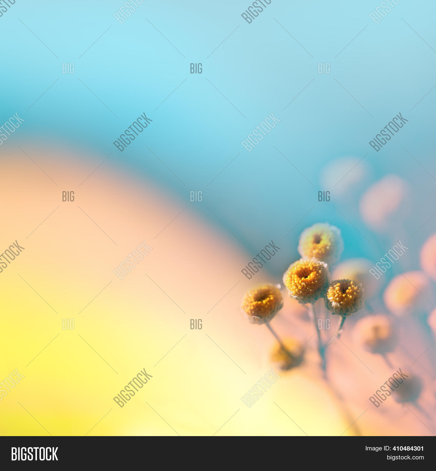 Beautiful Soft Spring Image & Photo (Free Trial) | Bigstock
