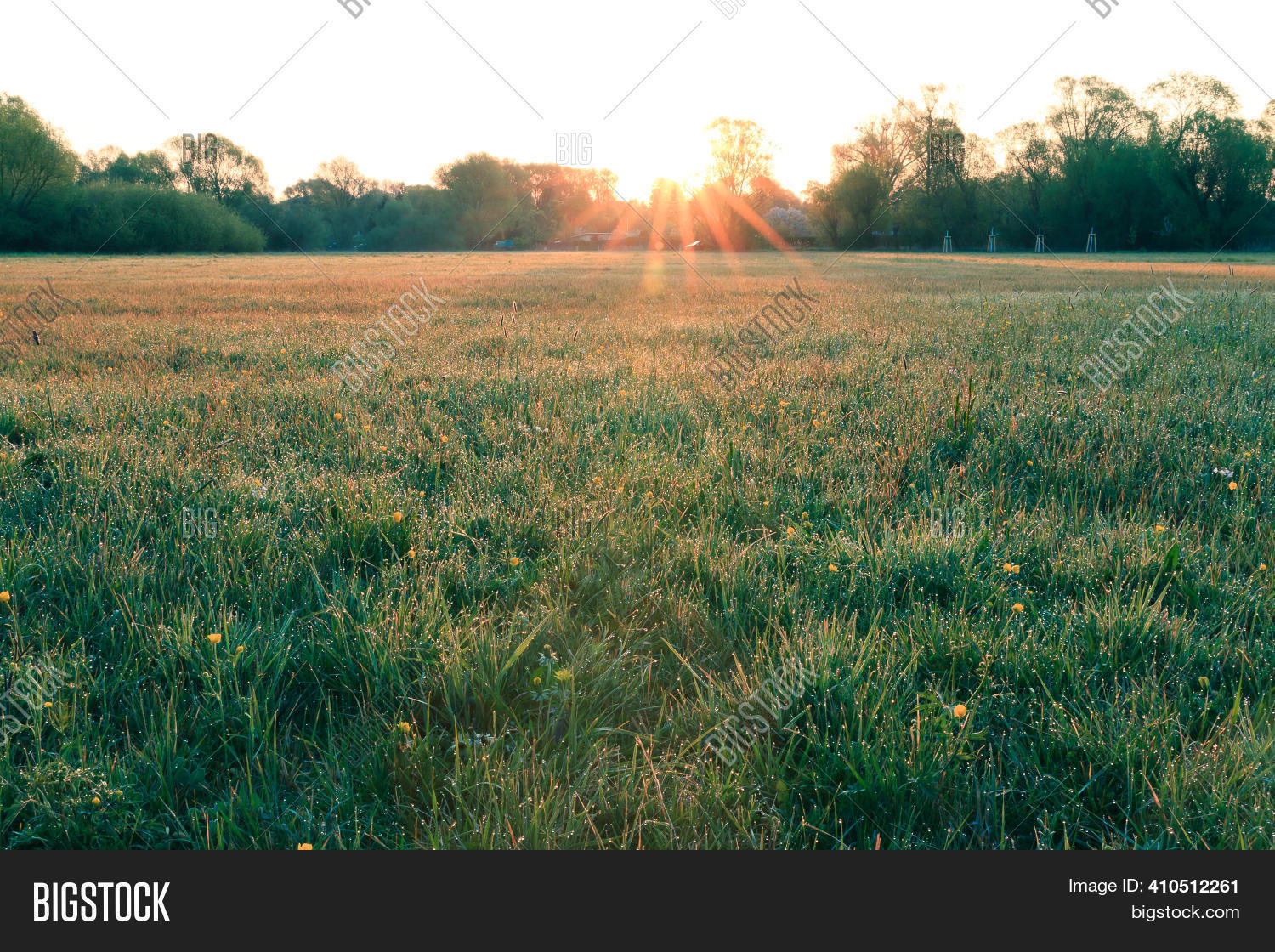 Meadow Spring Morning Image & Photo (Free Trial) | Bigstock