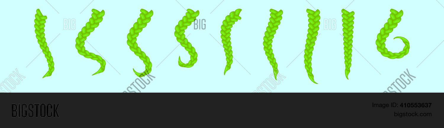 Set Plait Cartoon Vector & Photo (Free Trial) | Bigstock