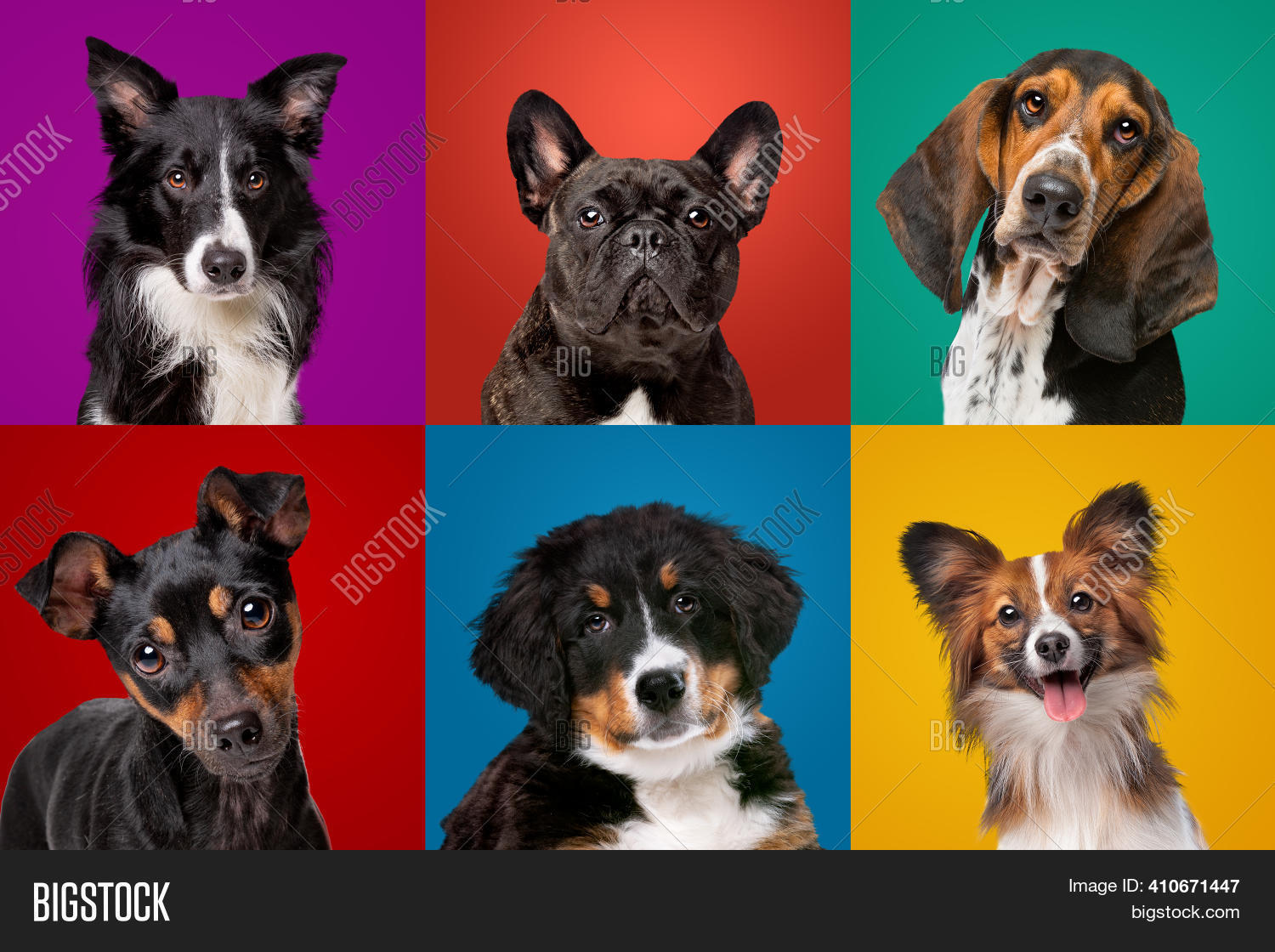 Portrait Collection Image & Photo (Free Trial) | Bigstock