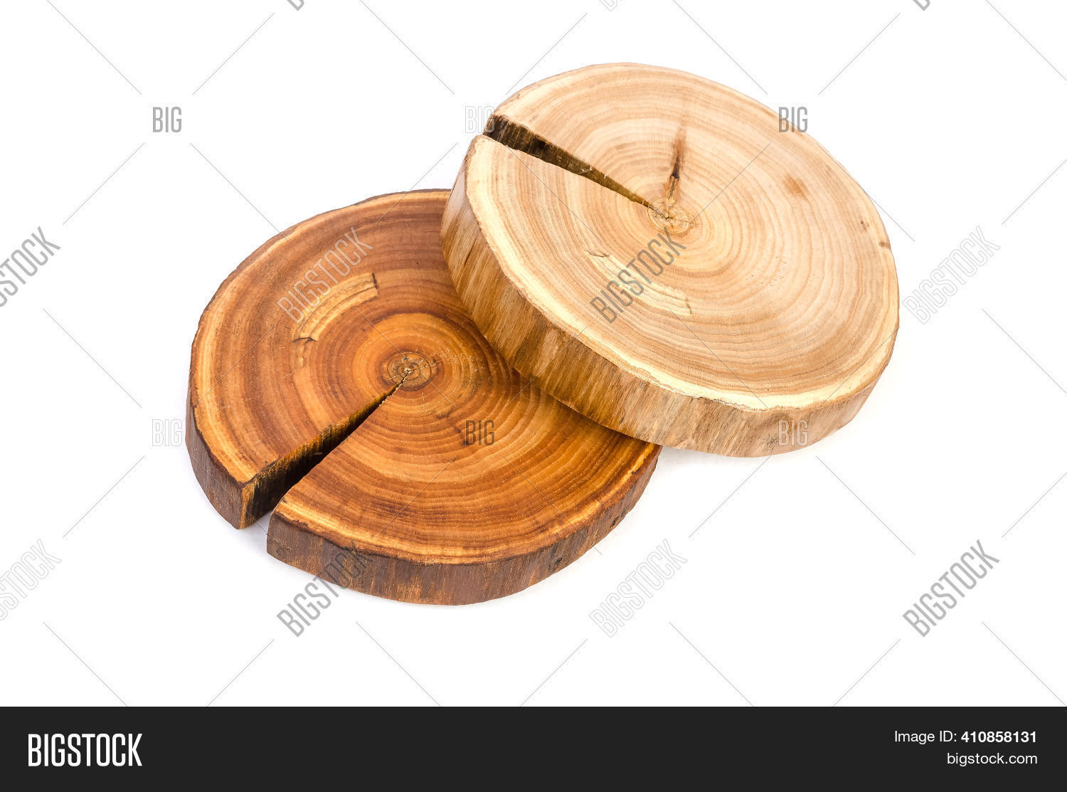 Cross Section Cut Wood Image & Photo (Free Trial) | Bigstock
