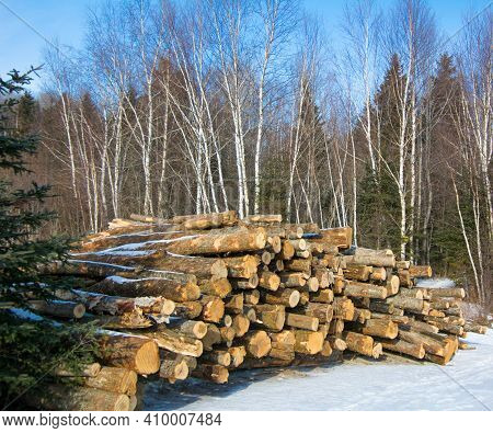 Maple Logs Stack Edge Image & Photo (Free Trial) | Bigstock