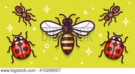 Cartoon Insects Vector & Photo (Free Trial) | Bigstock