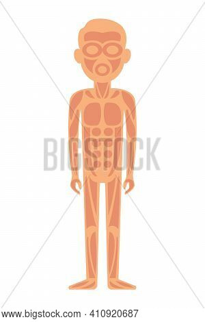Anatomy Man Muscular Vector & Photo (Free Trial) | Bigstock
