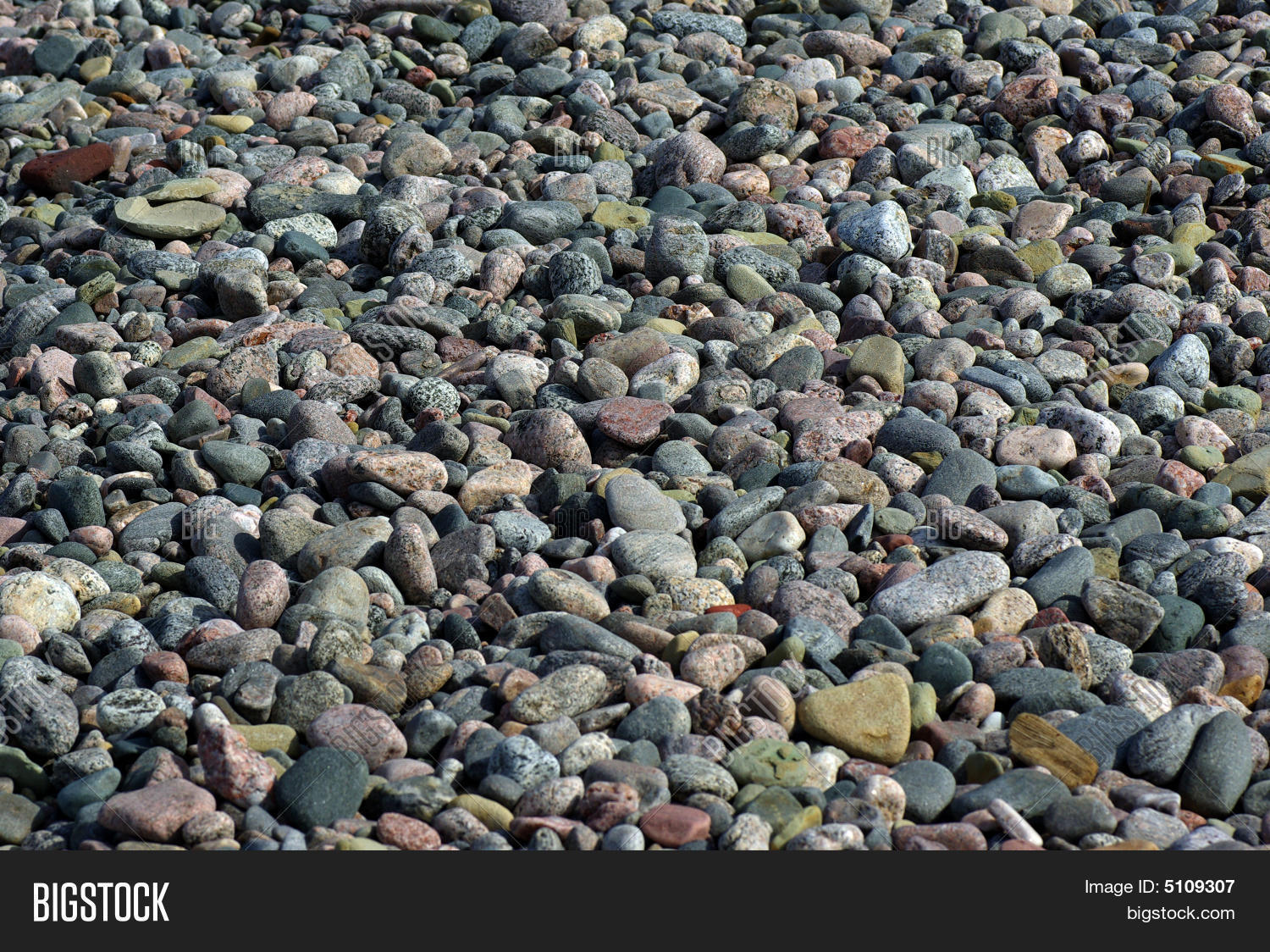 Small Pebble Image & Photo (Free Trial) | Bigstock