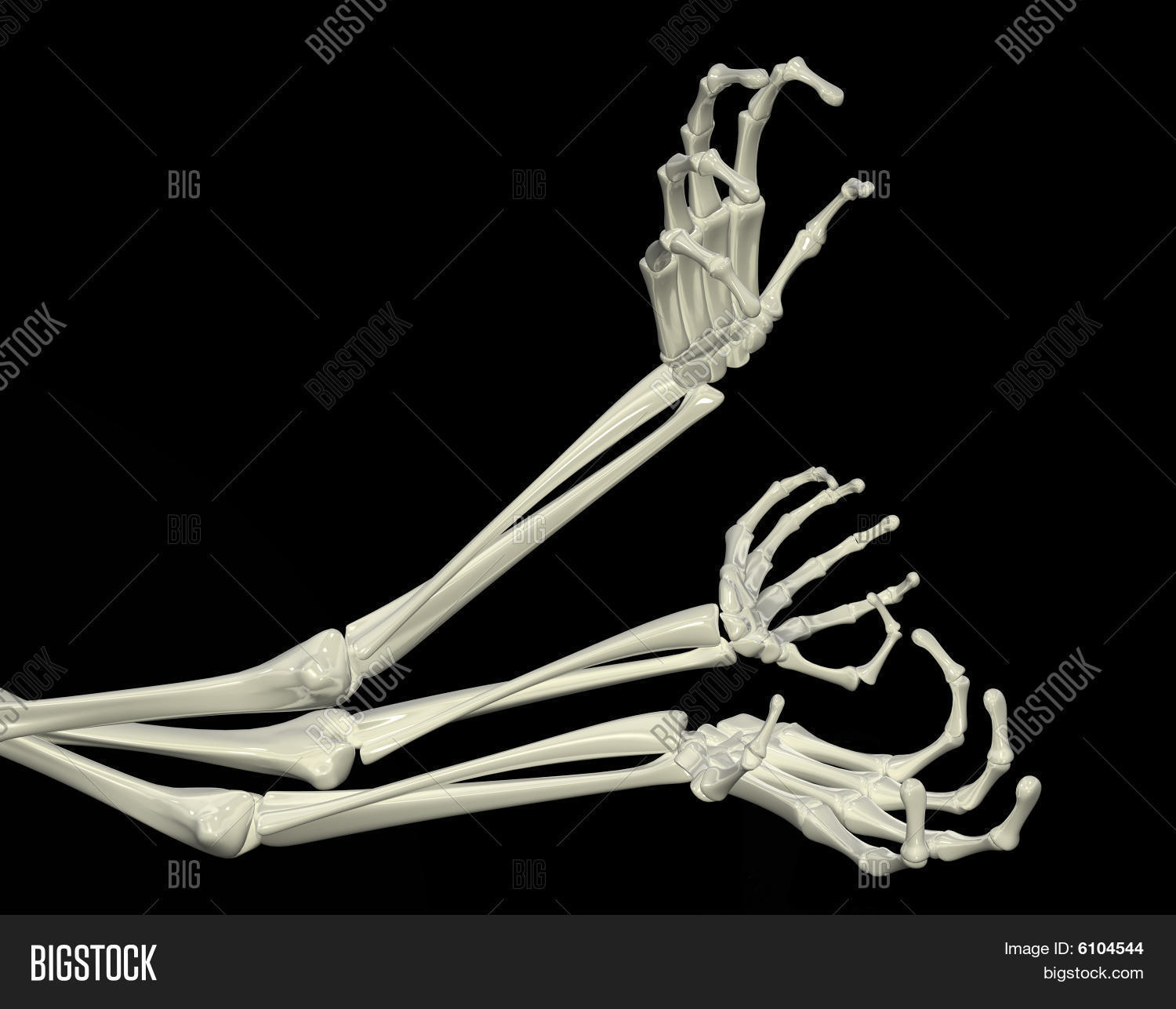 Skeletal Arms Image & Photo (Free Trial) | Bigstock