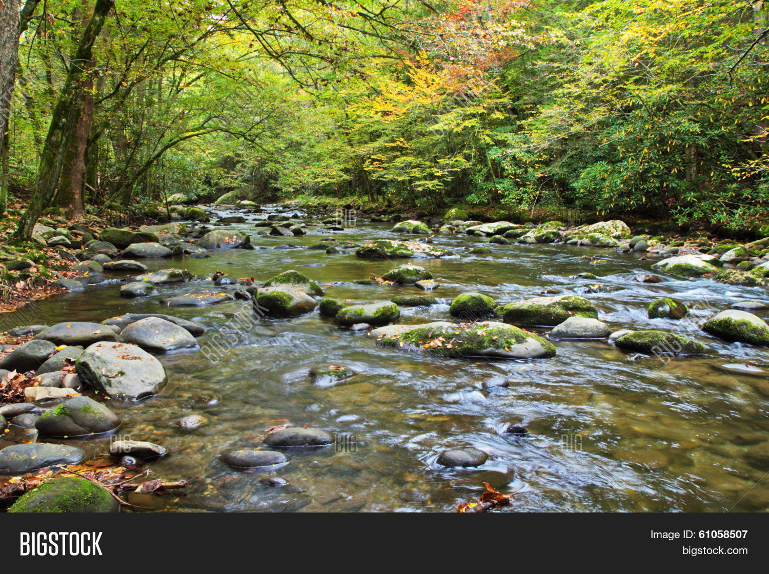 Peaceful Fall Morning Image & Photo (Free Trial) | Bigstock
