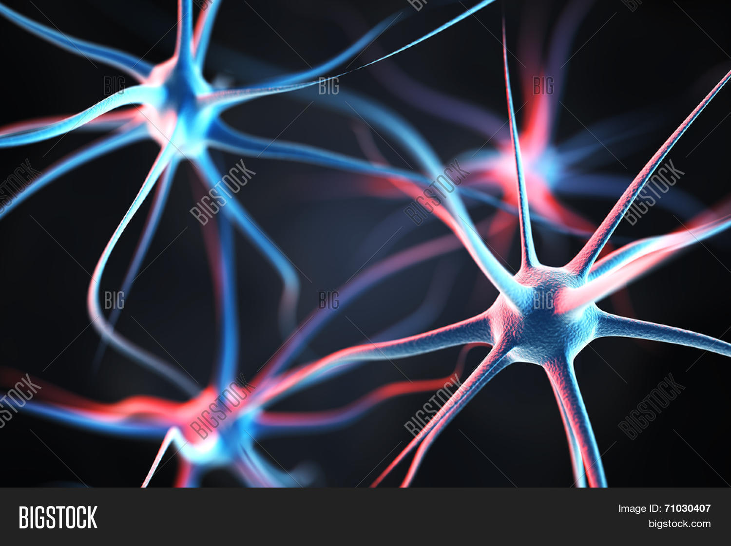 Neurons Brain Image & Photo (Free Trial) | Bigstock