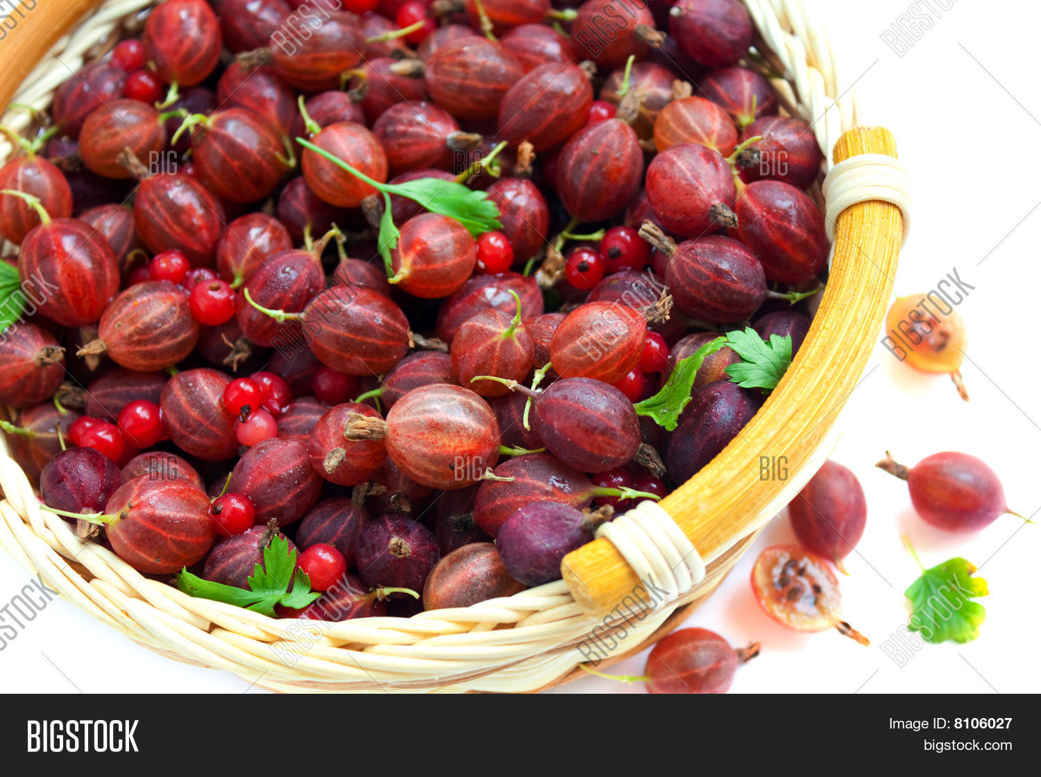Red Gooseberry Red Image & Photo (Free Trial) | Bigstock
