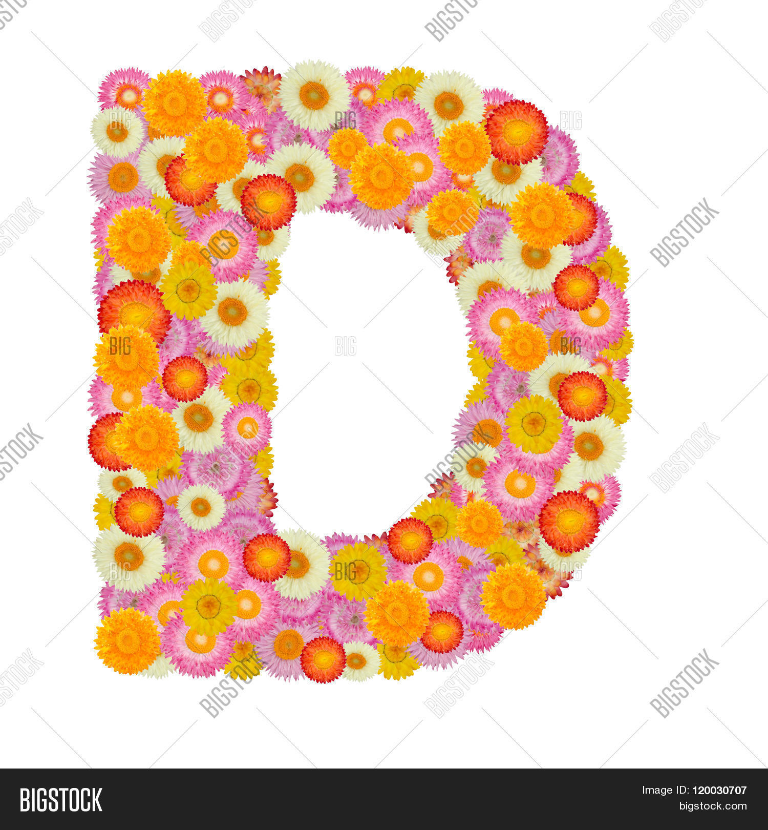Letter D Alphabet Image & Photo (Free Trial) | Bigstock