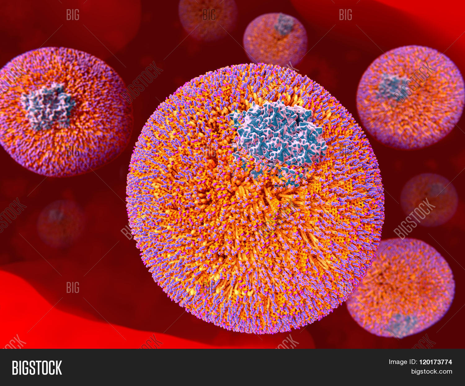 LDL Particles Blood Image & Photo (Free Trial) | Bigstock