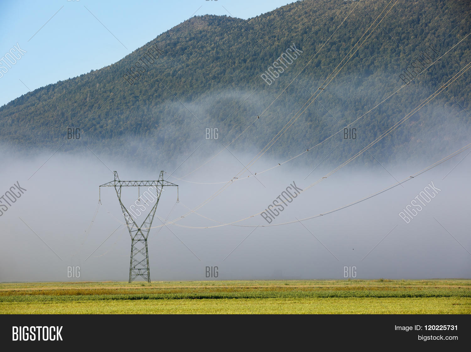 Big Electricity High Image & Photo (Free Trial) | Bigstock