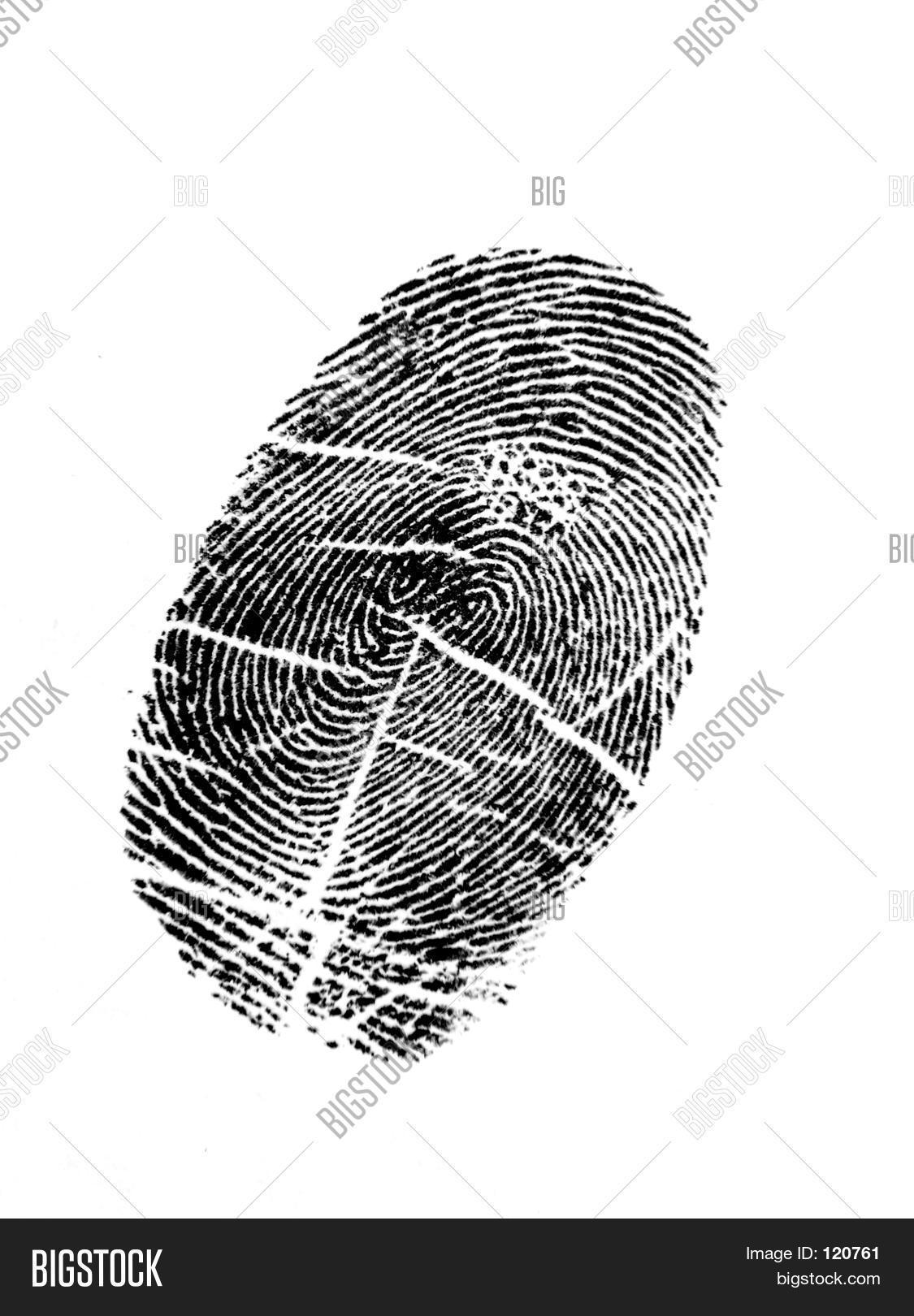 Thumbprint Image & Photo (Free Trial) | Bigstock