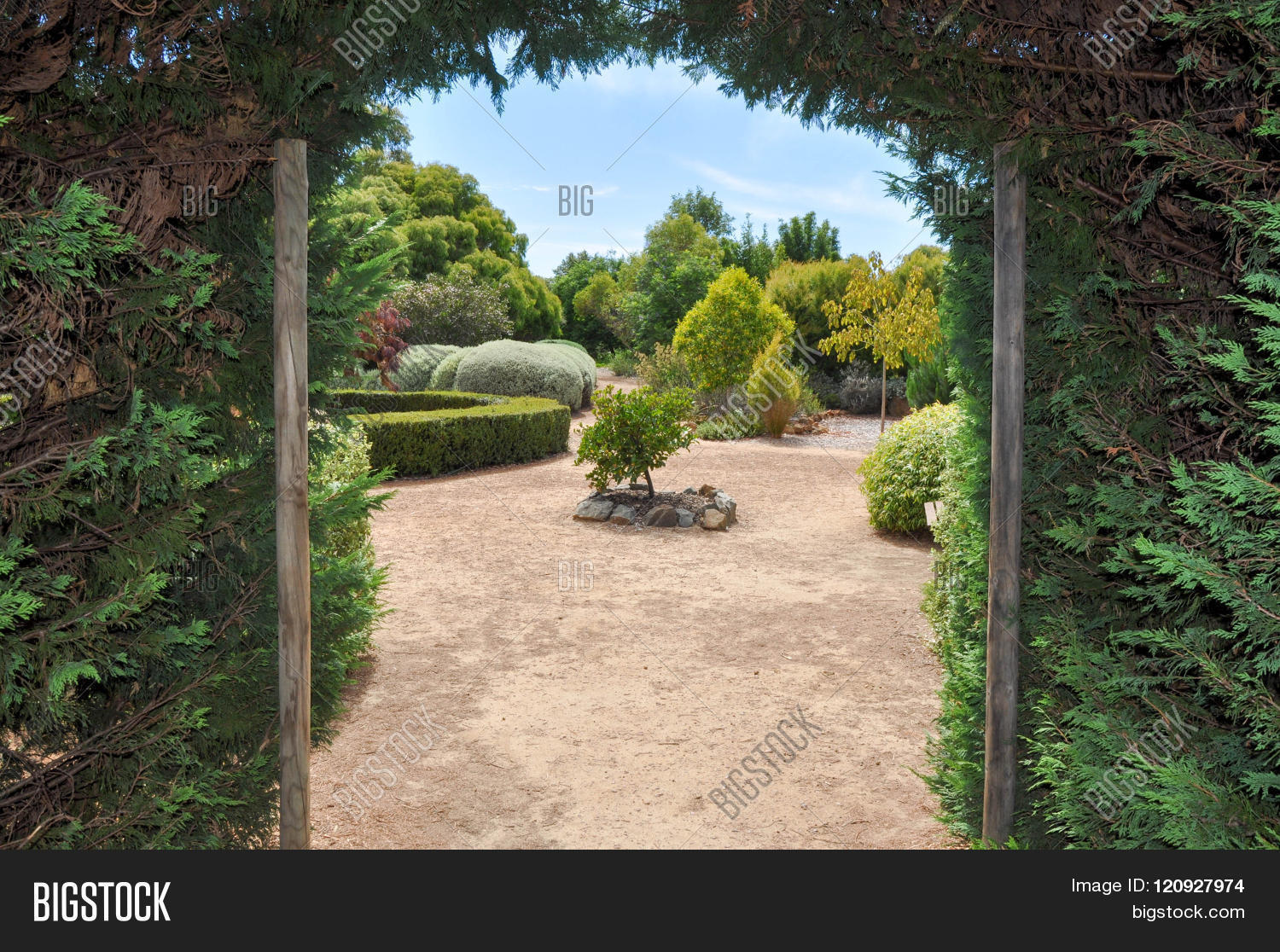 Hedge Maze Exit Image & Photo (Free Trial) | Bigstock