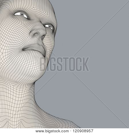 Head Person 3d Grid. Vector & Photo (Free Trial) | Bigstock