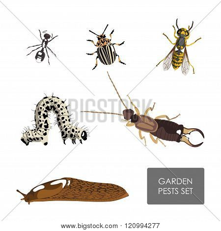Set Garden Pests On Vector & Photo (Free Trial) | Bigstock