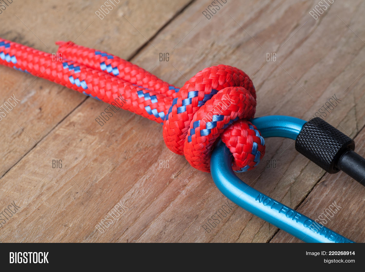 Fishermans Knot Red Image & Photo (Free Trial) | Bigstock