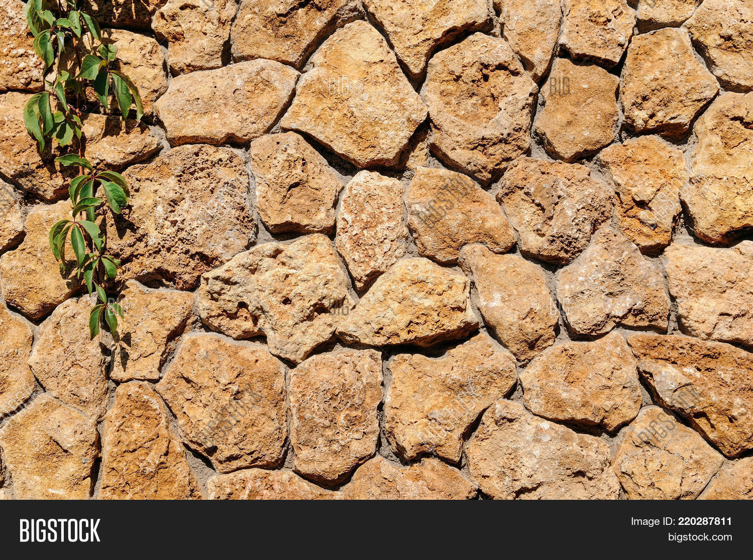Old Stone Wall Ivy Image & Photo (Free Trial) | Bigstock