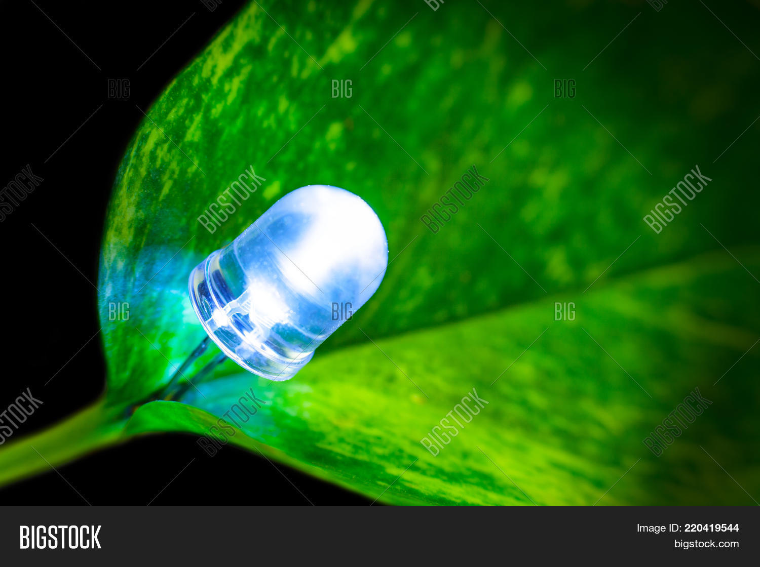 LED Lamp Green Leaf, Image & Photo (Free Trial) | Bigstock