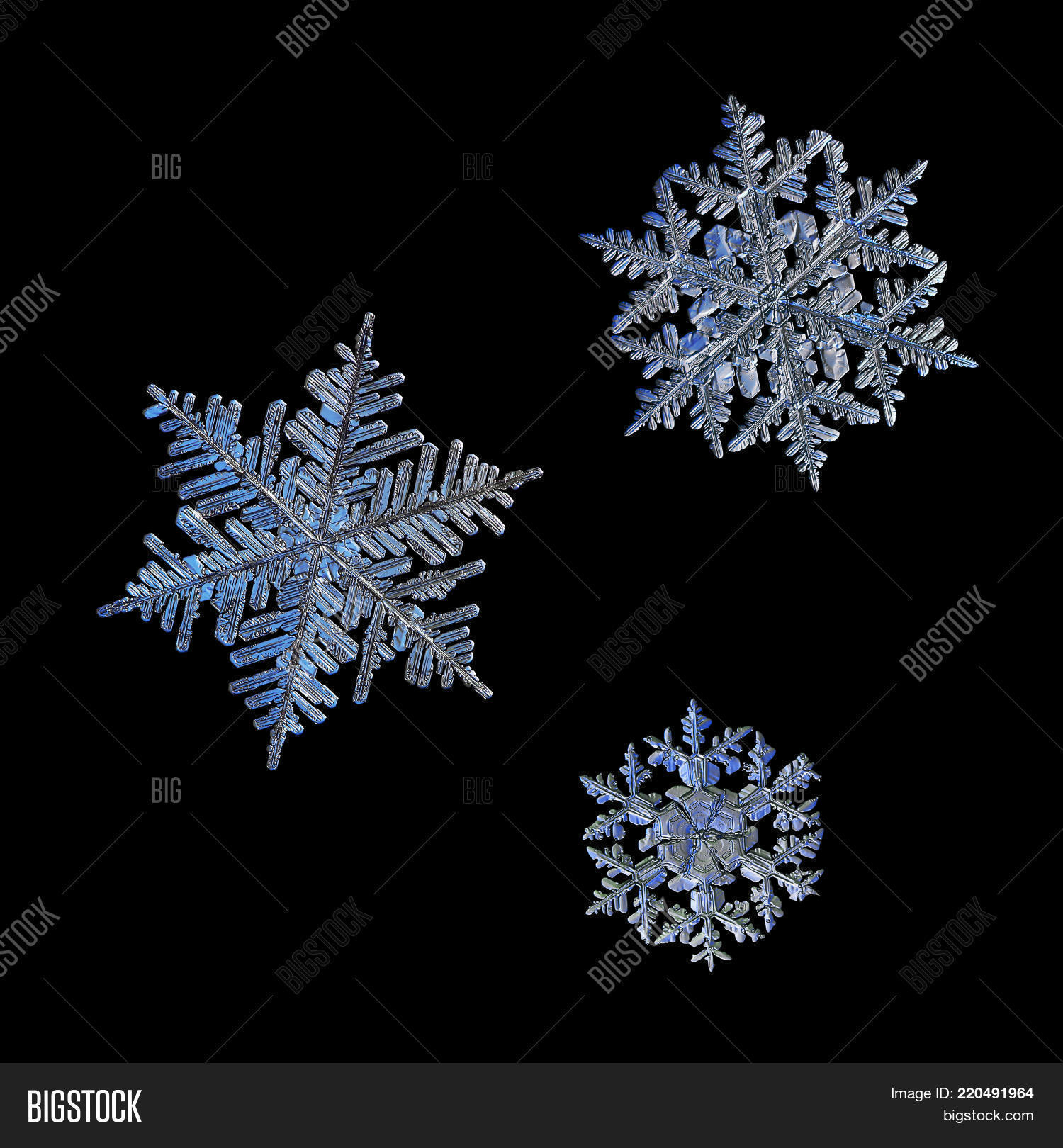 Dendrites Snowflakes
