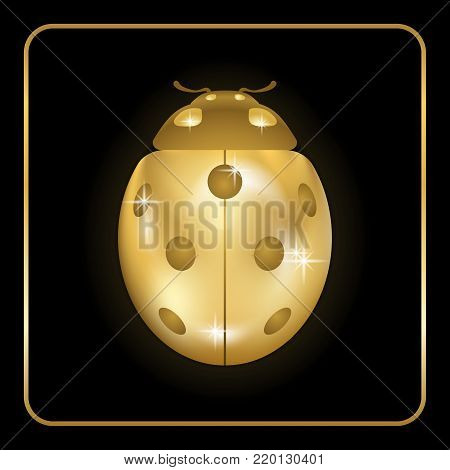 Ladybug Gold Insect Vector & Photo (Free Trial) | Bigstock