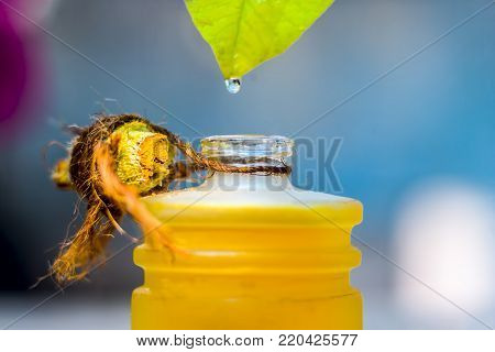 Single Drop Water Image & Photo (Free Trial) | Bigstock