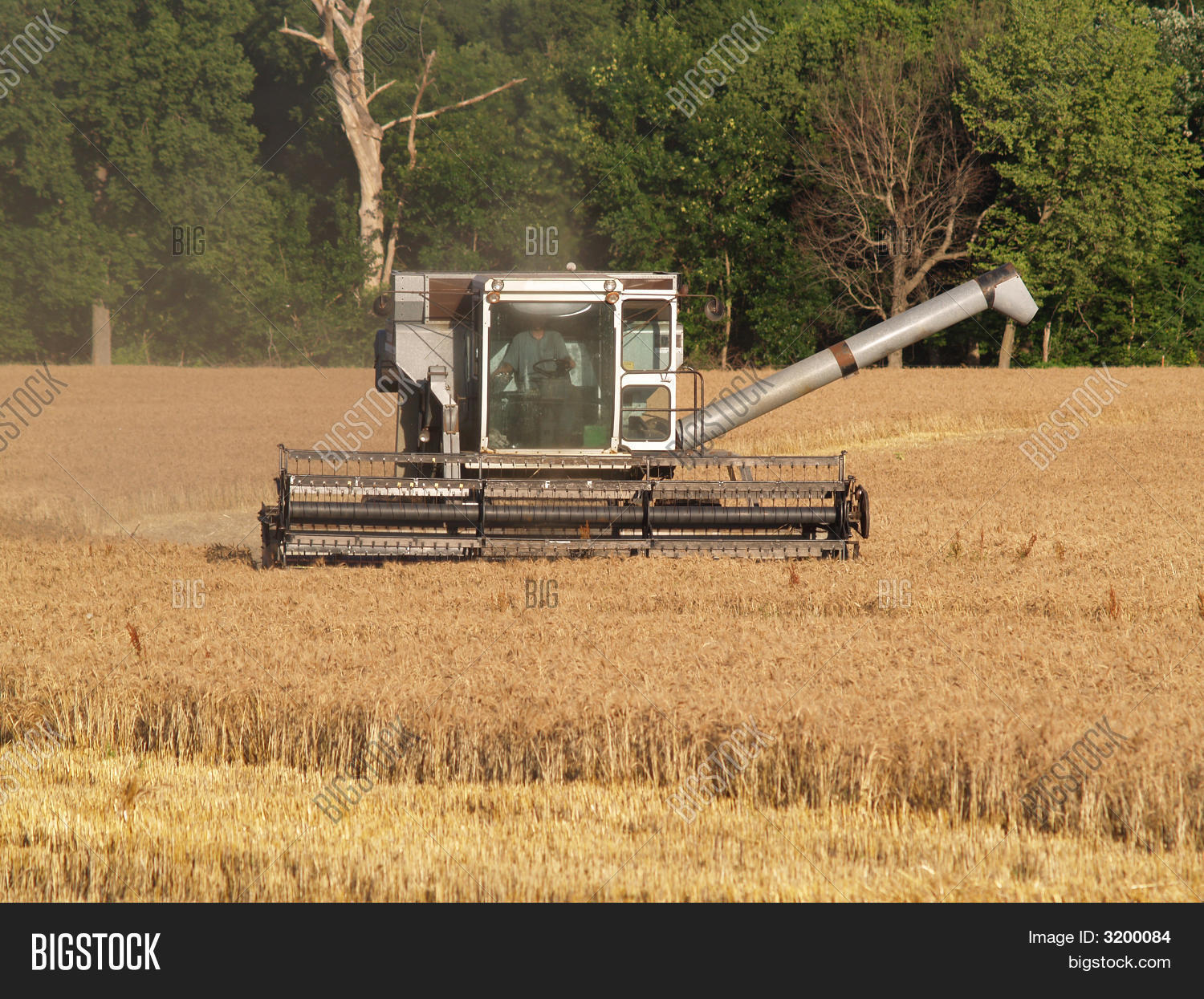 Combine Cutting Wheat Image & Photo (Free Trial) | Bigstock