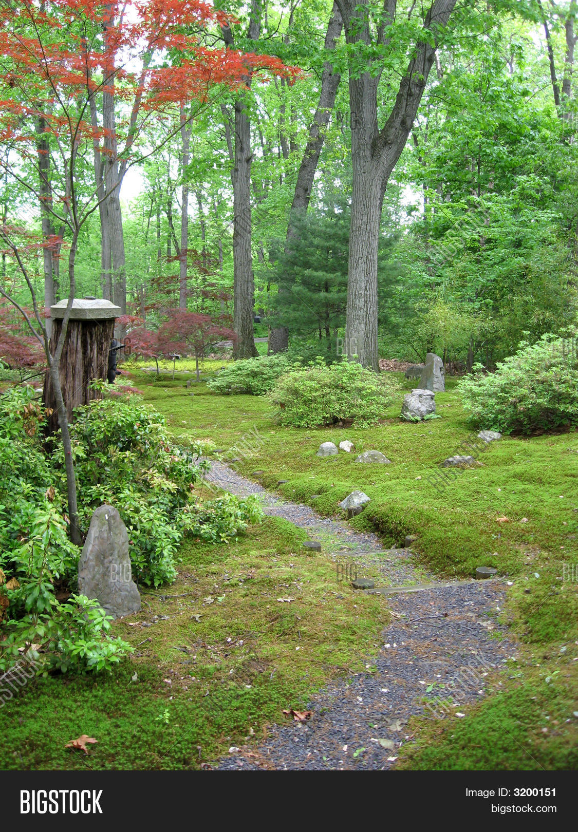 Japanese Moss Garden Image & Photo (Free Trial) | Bigstock