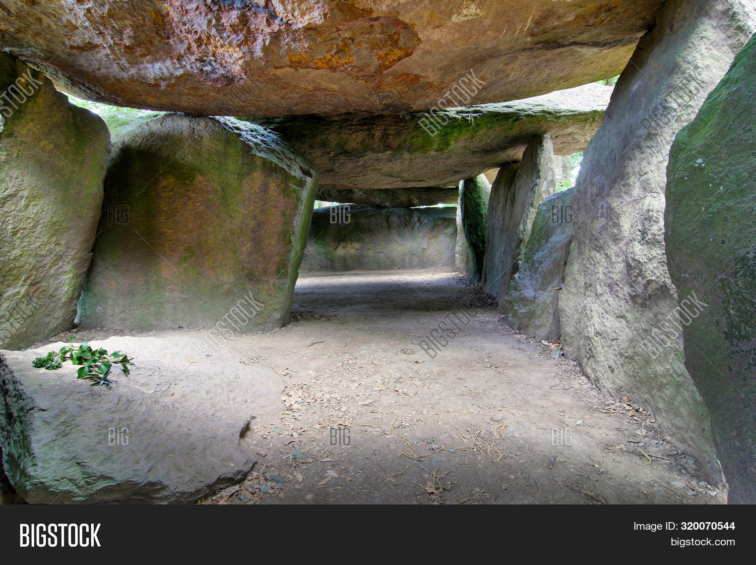 Inside Prehistoric Image & Photo (Free Trial) | Bigstock