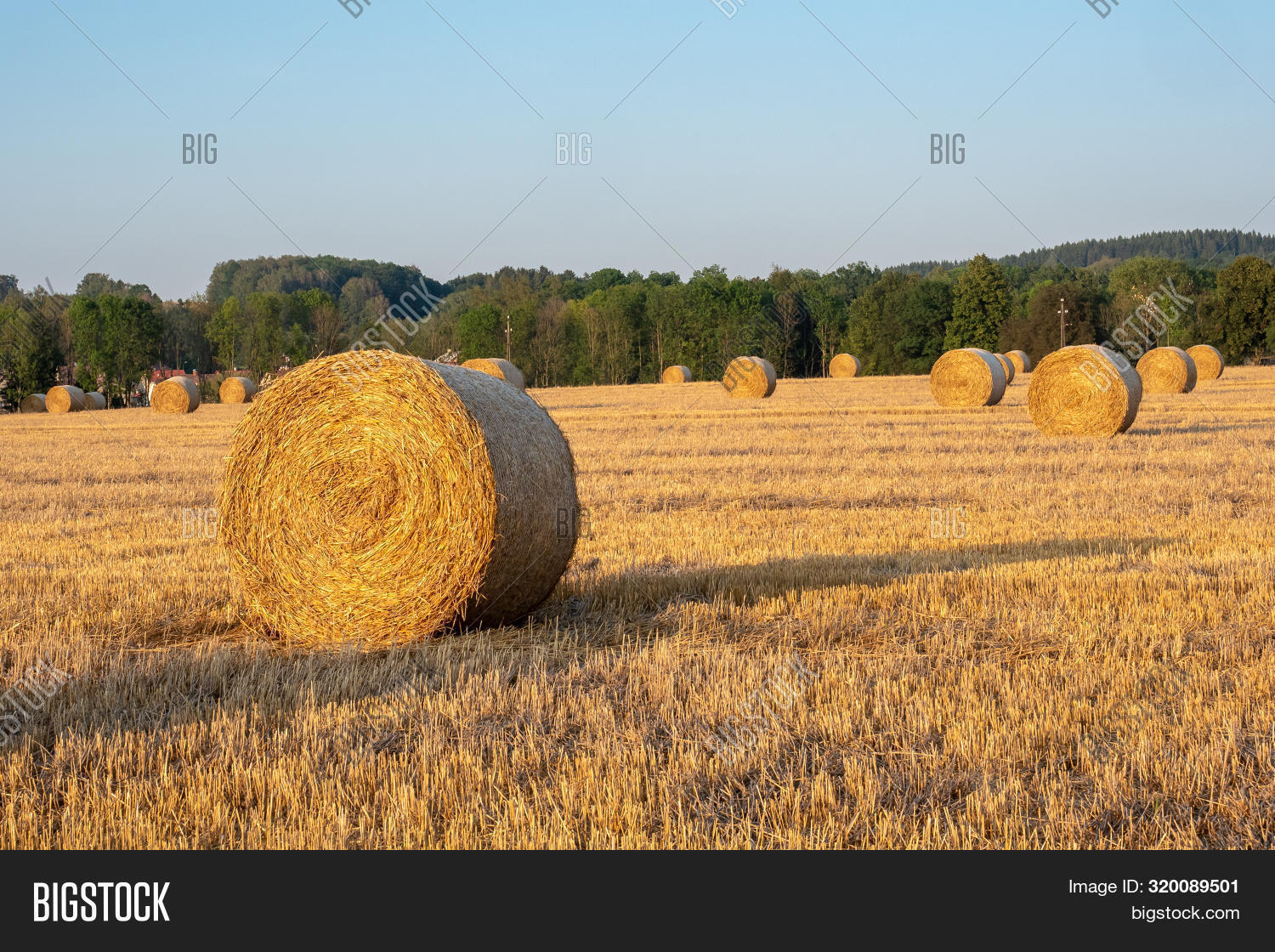 Hay Bales On Field Image & Photo (Free Trial) | Bigstock