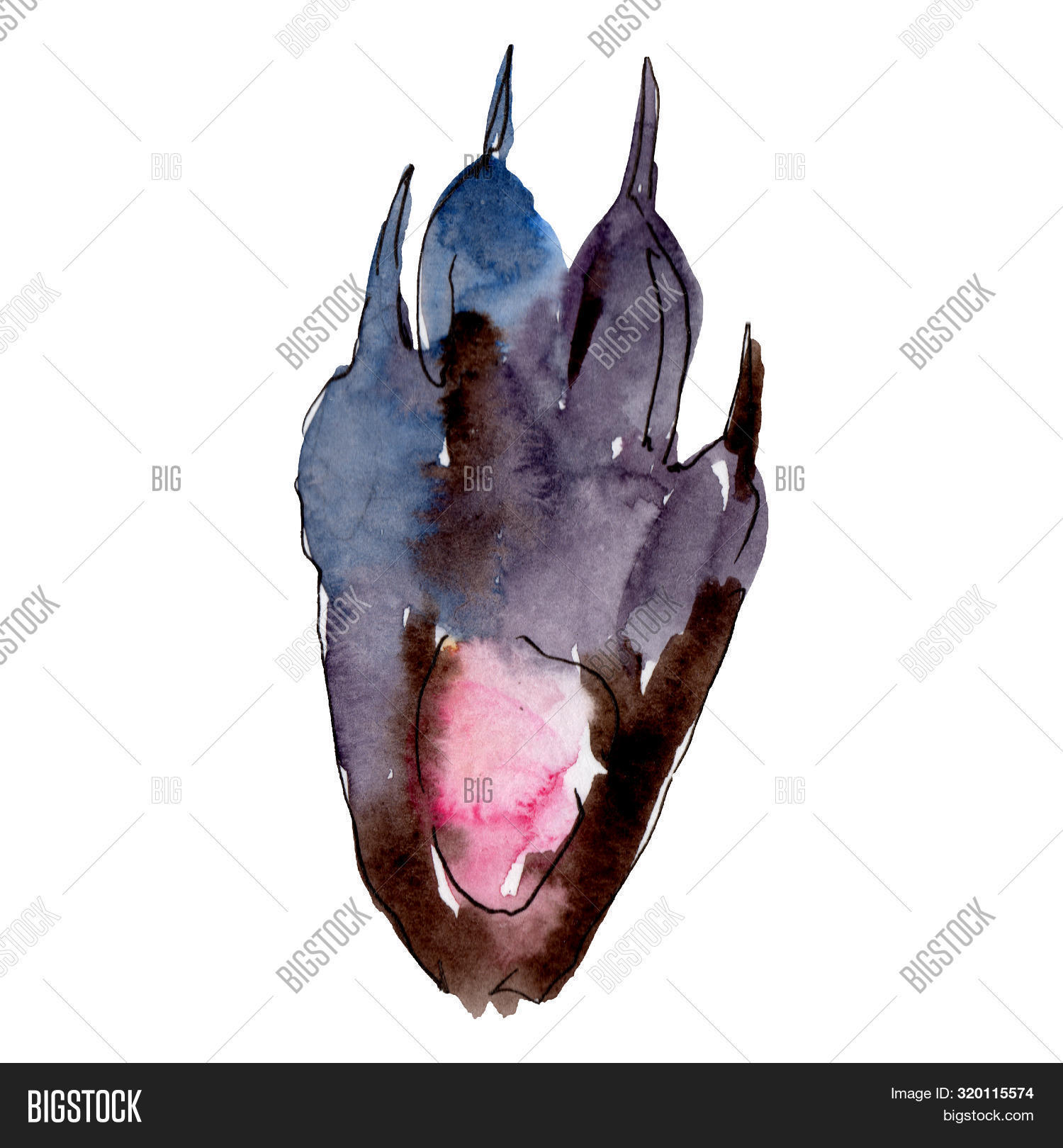 Rabbit Hoof Farm Image & Photo (Free Trial) | Bigstock