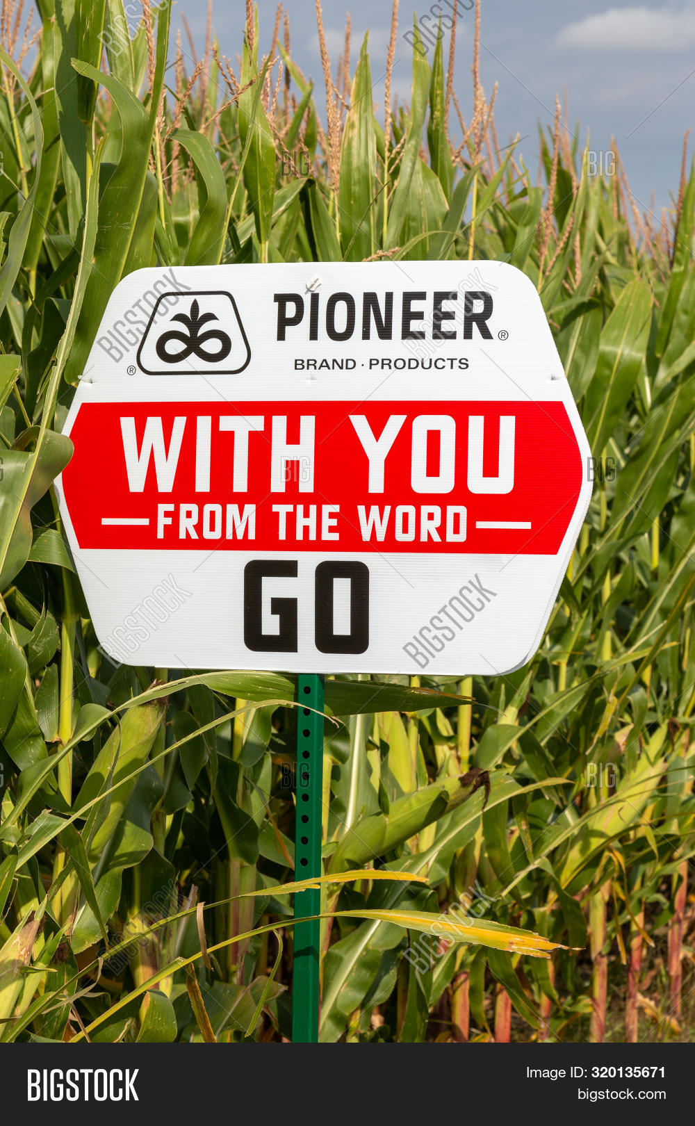 Pioneer Seed Sign Image & Photo (Free Trial) | Bigstock