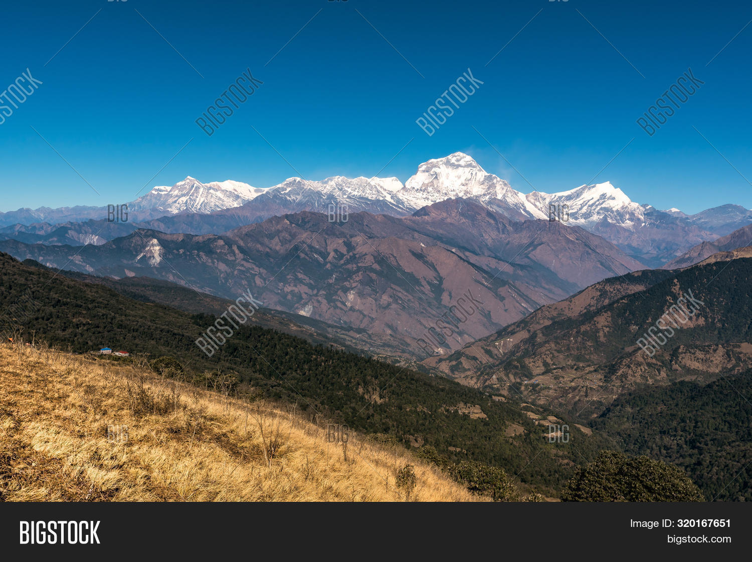 Nature View Himalayan Image & Photo (Free Trial) | Bigstock
