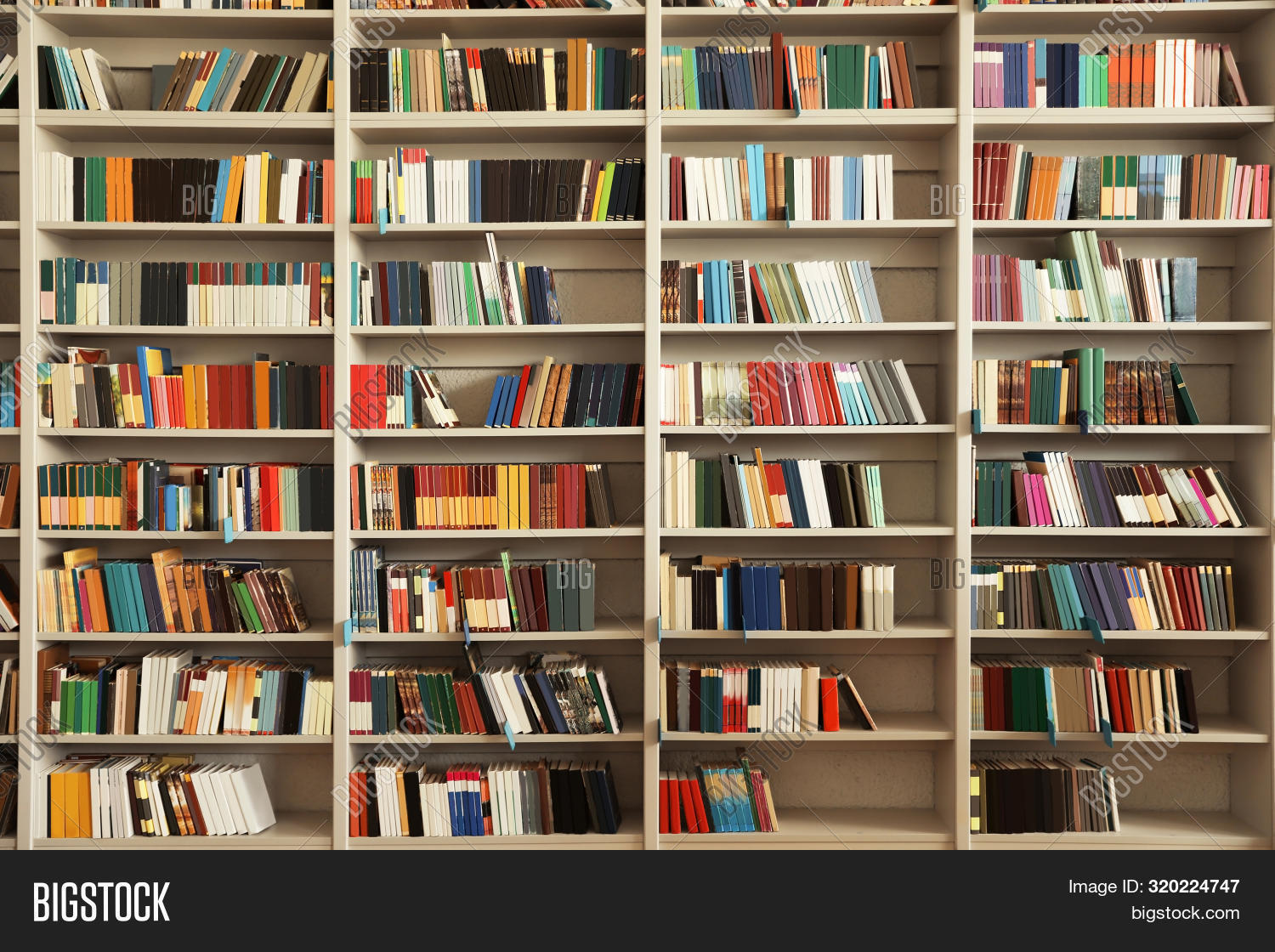 View Shelves Books Image & Photo (Free Trial) | Bigstock