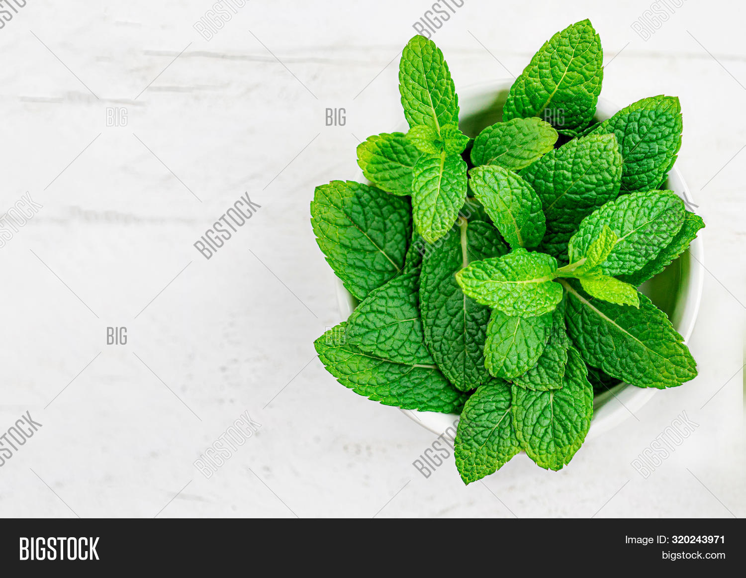 Peppermint Leaves On Image & Photo (Free Trial) | Bigstock