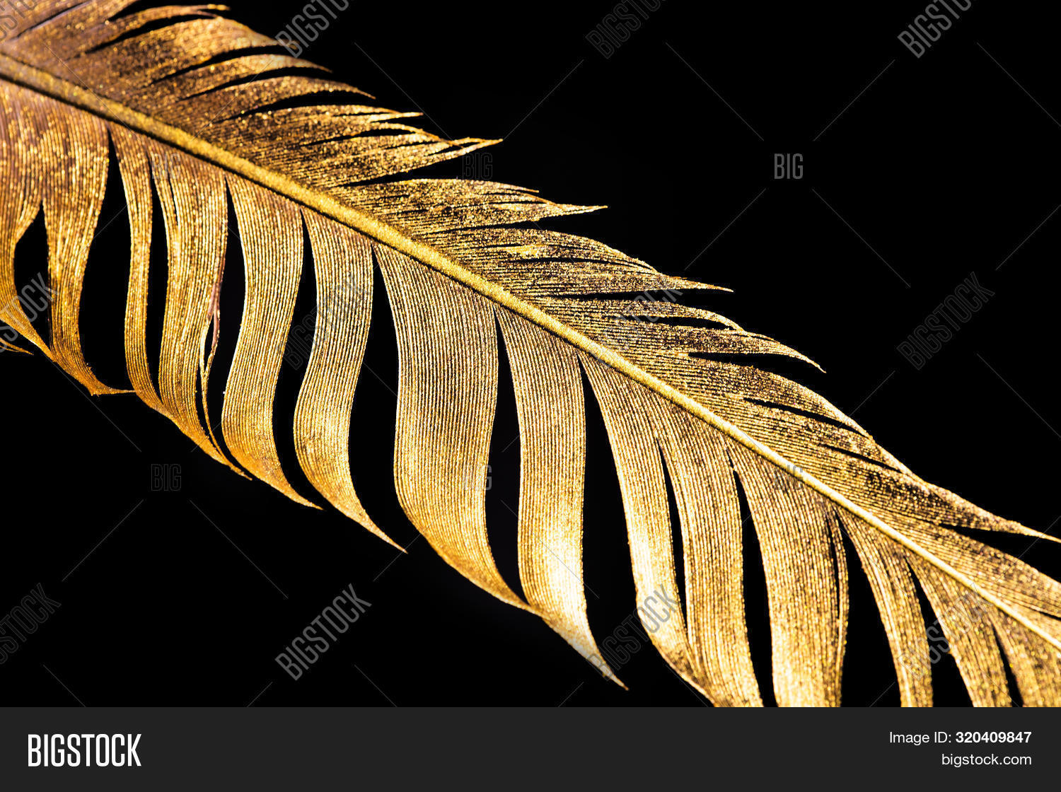 Feather Covered Gold Image & Photo (Free Trial) | Bigstock