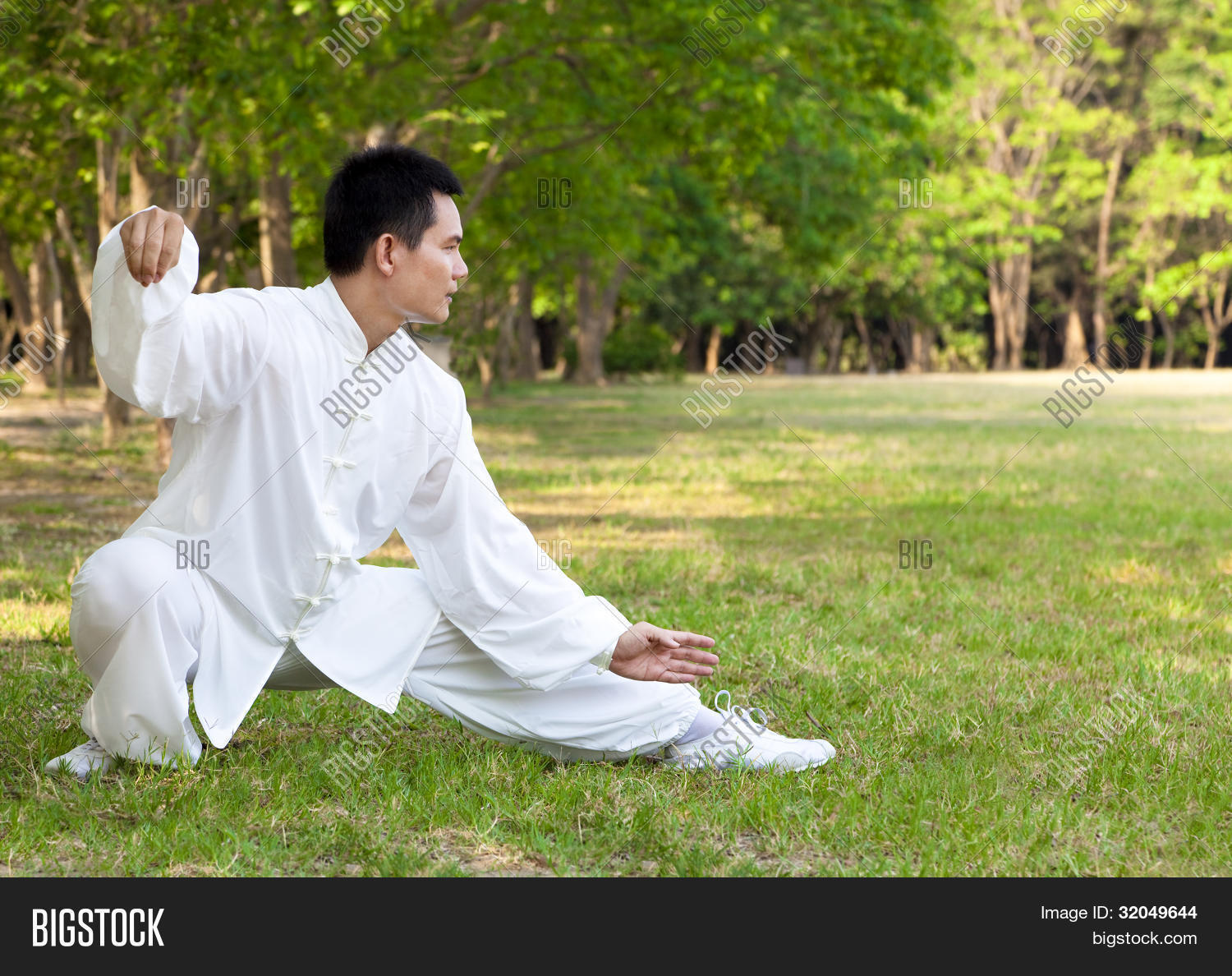 Kung Fu Chinese Shadow Image & Photo (Free Trial) | Bigstock