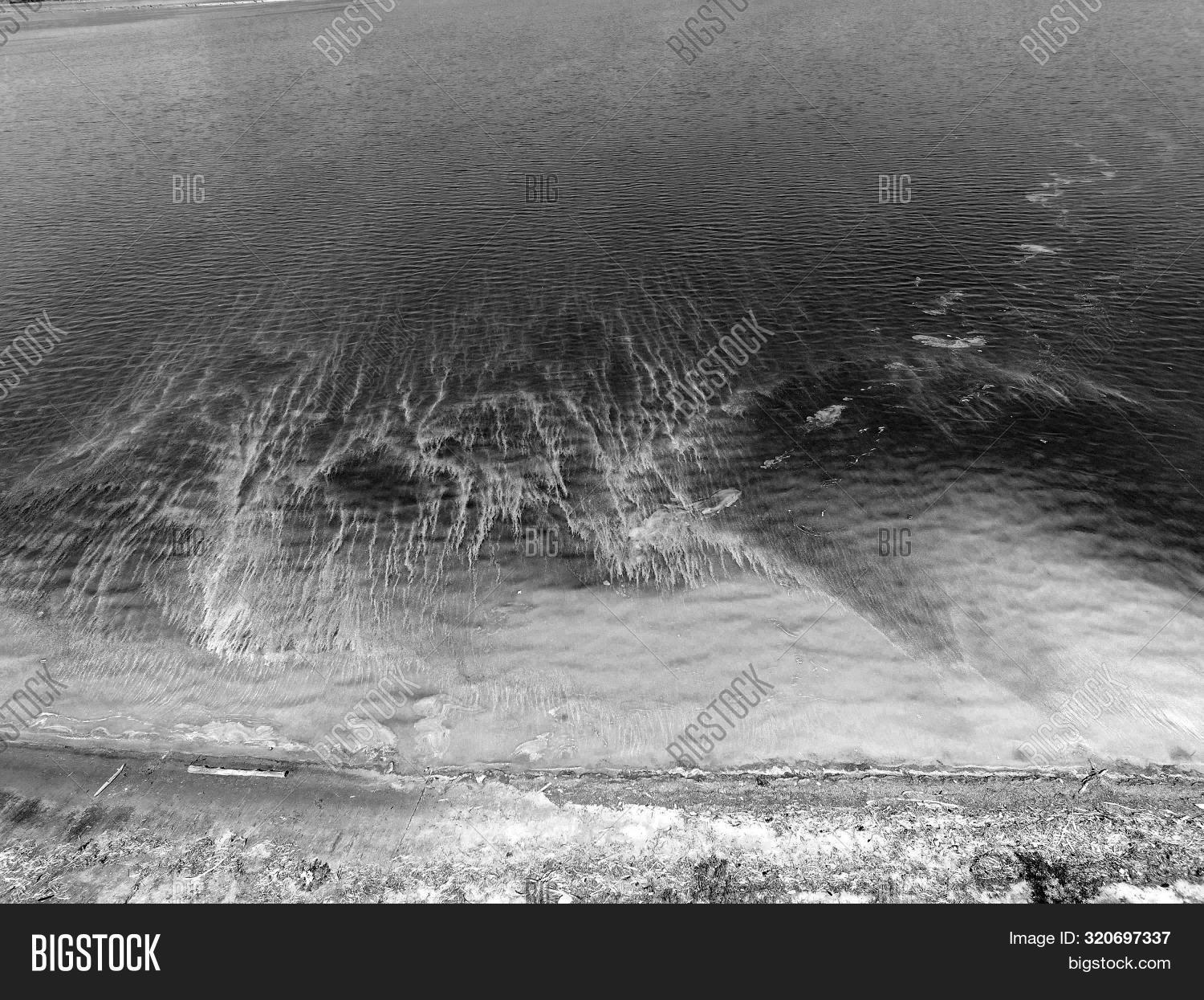 Infrared Filter.Green Image & Photo (Free Trial) | Bigstock