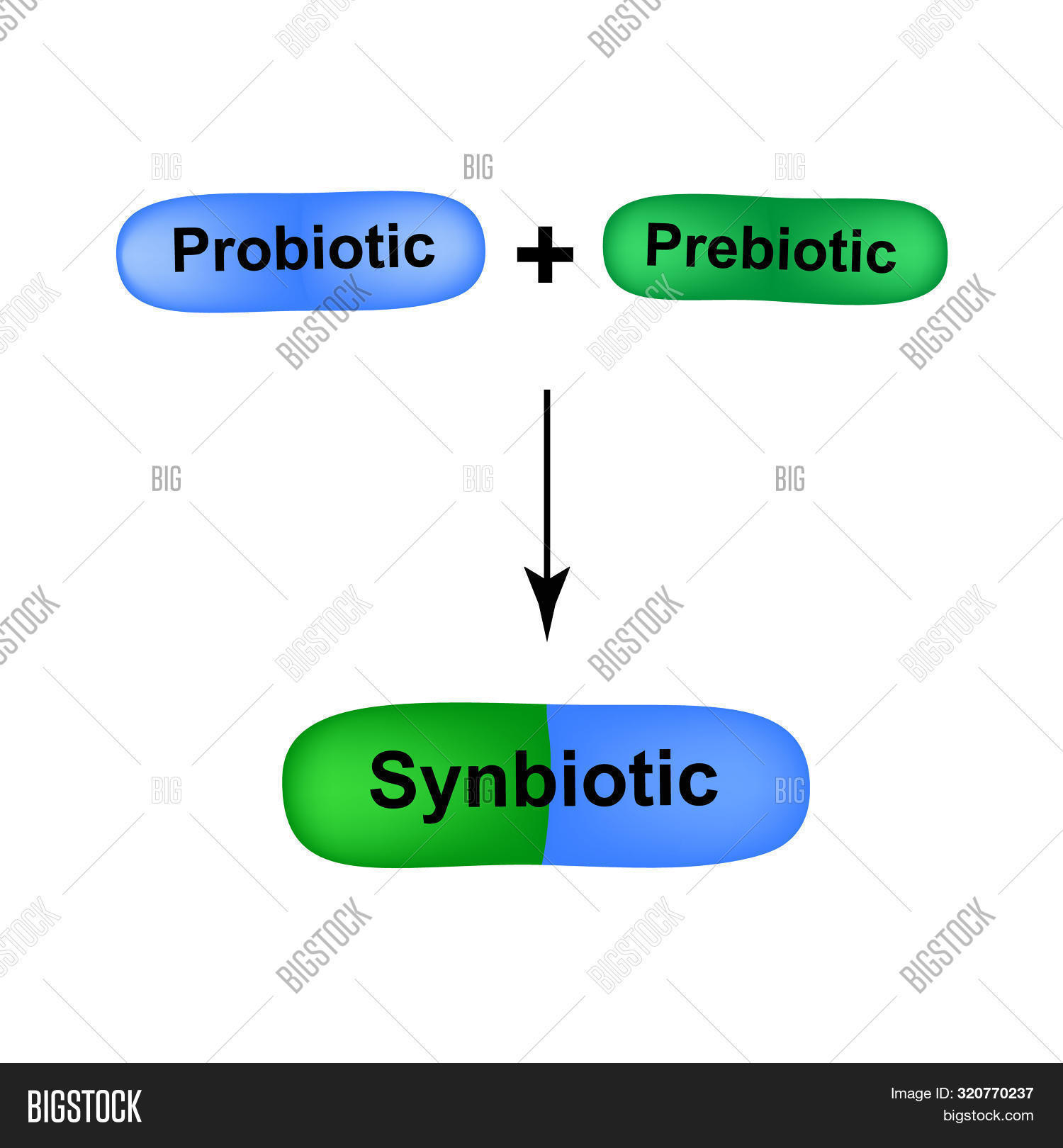 Combination Probiotic Image & Photo (Free Trial) | Bigstock