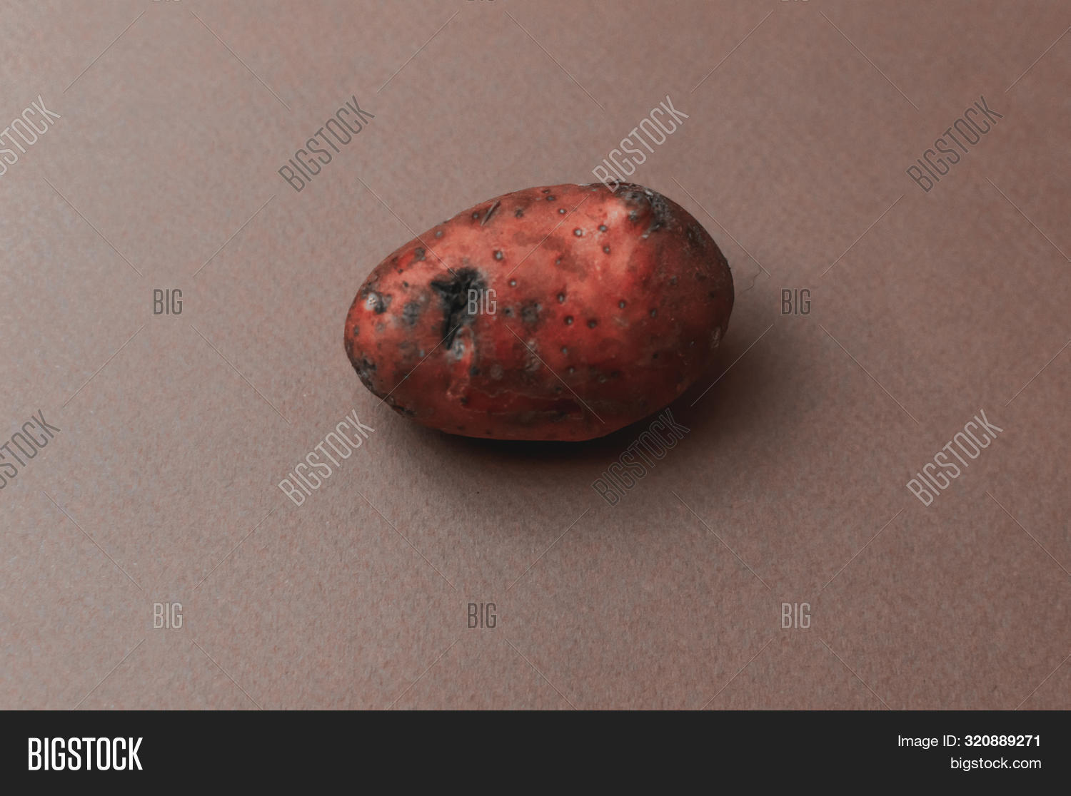 Weird Ugly Mutants Image & Photo (Free Trial) | Bigstock